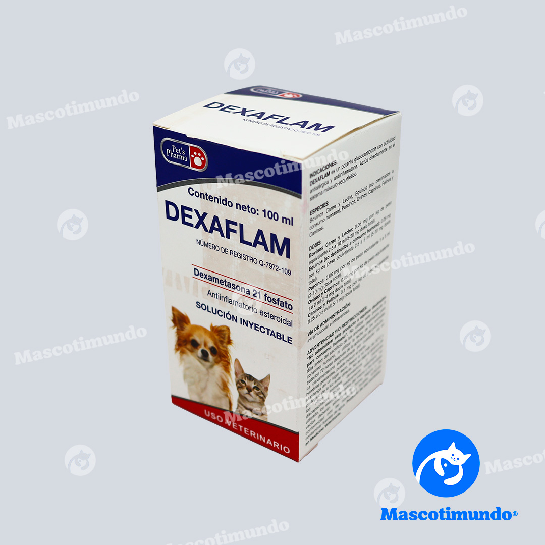 DEXAFLAM SOLUCIÓN INYECTABLE 100 ML | Mascotimundo®